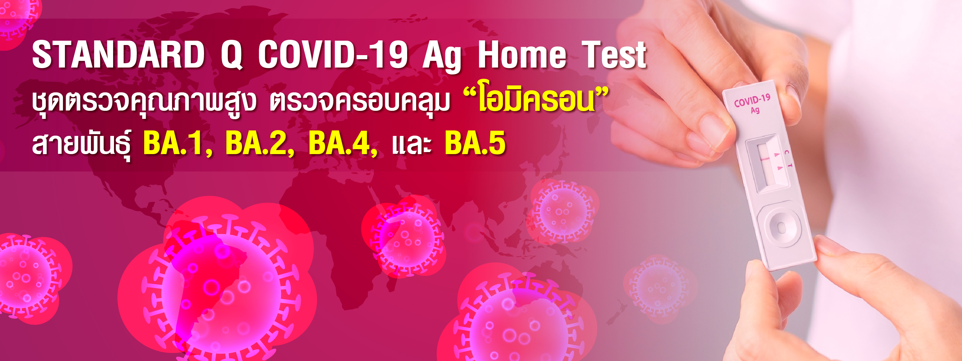 MP Group Live an Excellent Live