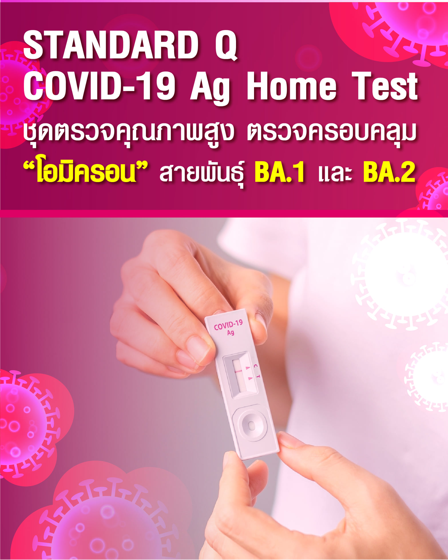 MP Group Live an Excellent Live